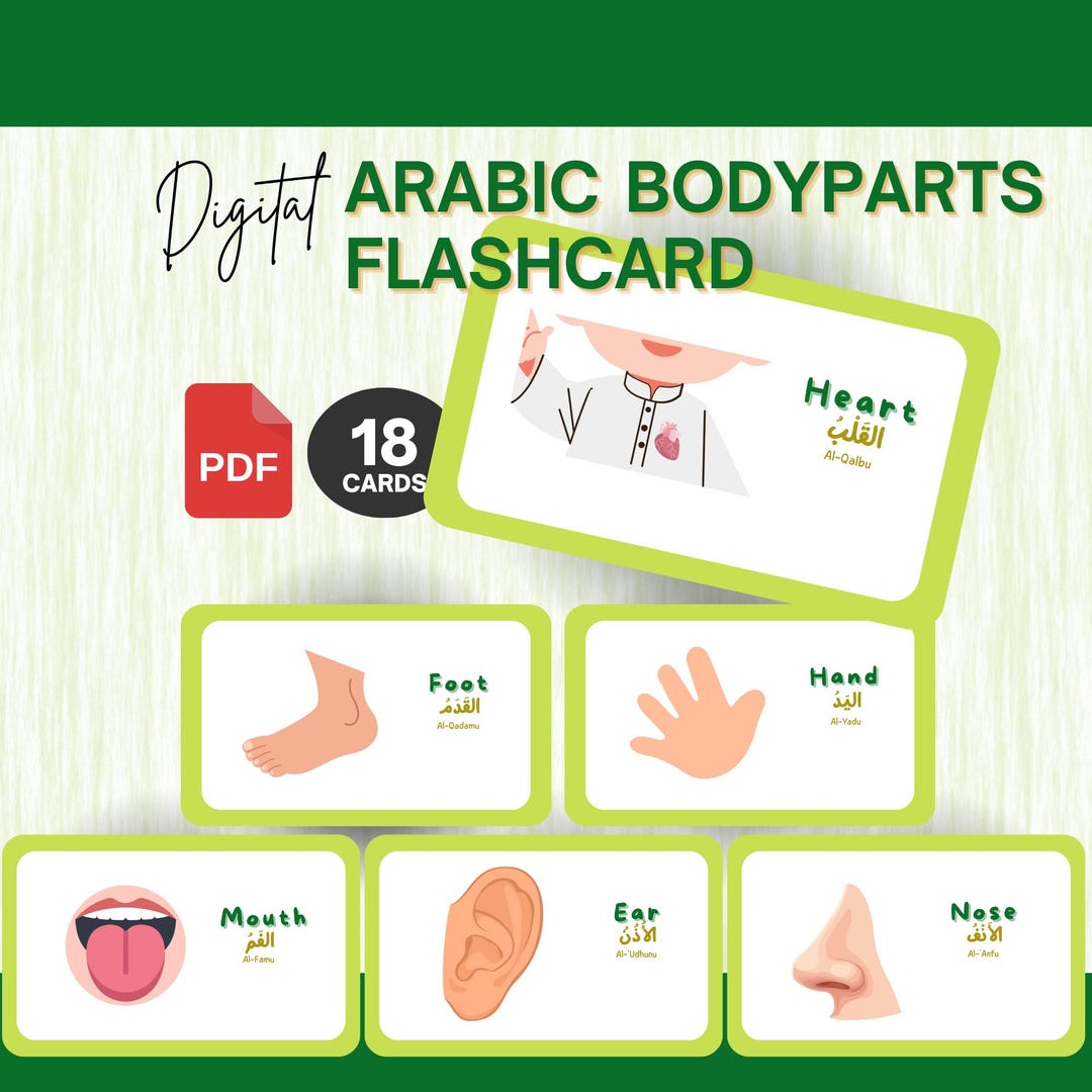 Islamic Arabic Body Parts Tool | 18 Printable Flashcards | Back-to-back ...
