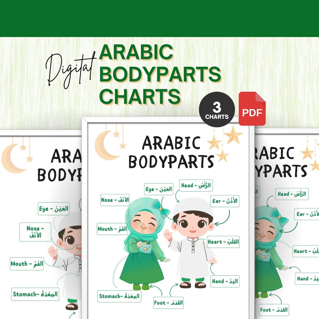 Arabic Body Parts Poster Set | Islamic Educational Print (digital ...