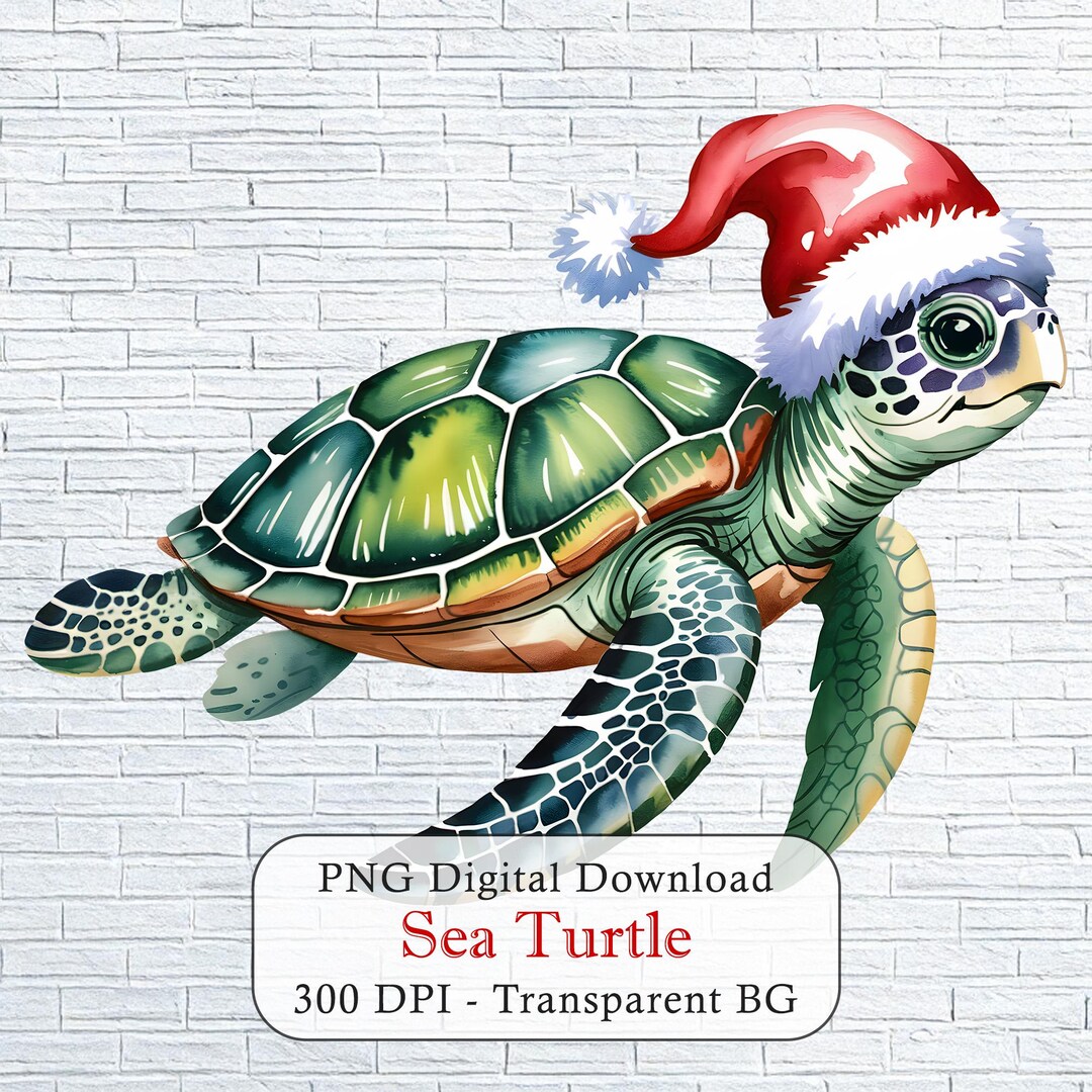 Watercolor Sea Turtle Christmas Clipart, Digital Download PNG, 6000 by ...