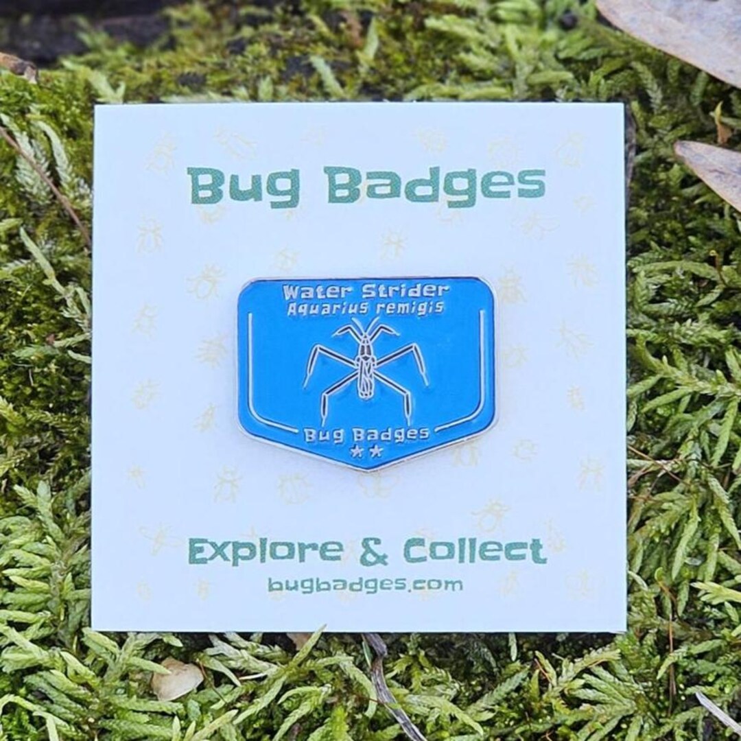 Water Strider Enamel Pin (#07 of 36) - Collectible Bug Badge + Optional ...
