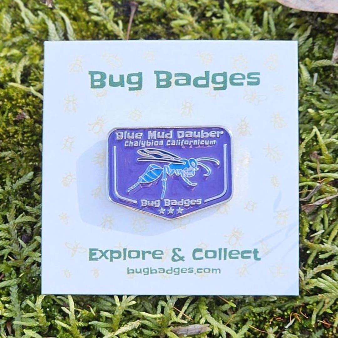 Blue Mud Dauber Enamel Pin (#17 of 36) - Collectible Bug Badge ...