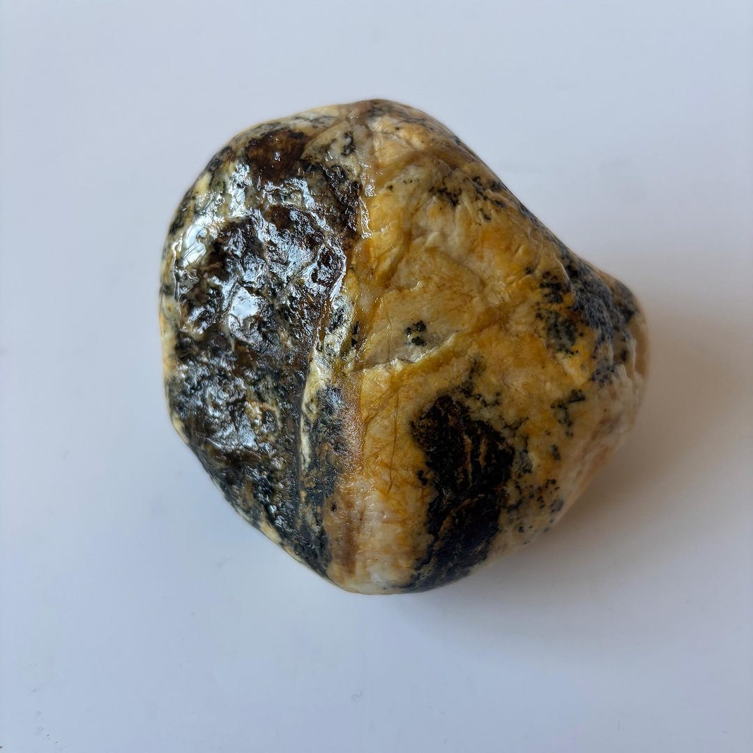 Golden Dallasite | Rare Vancouver Island Stone | Unique Yellow & Black ...