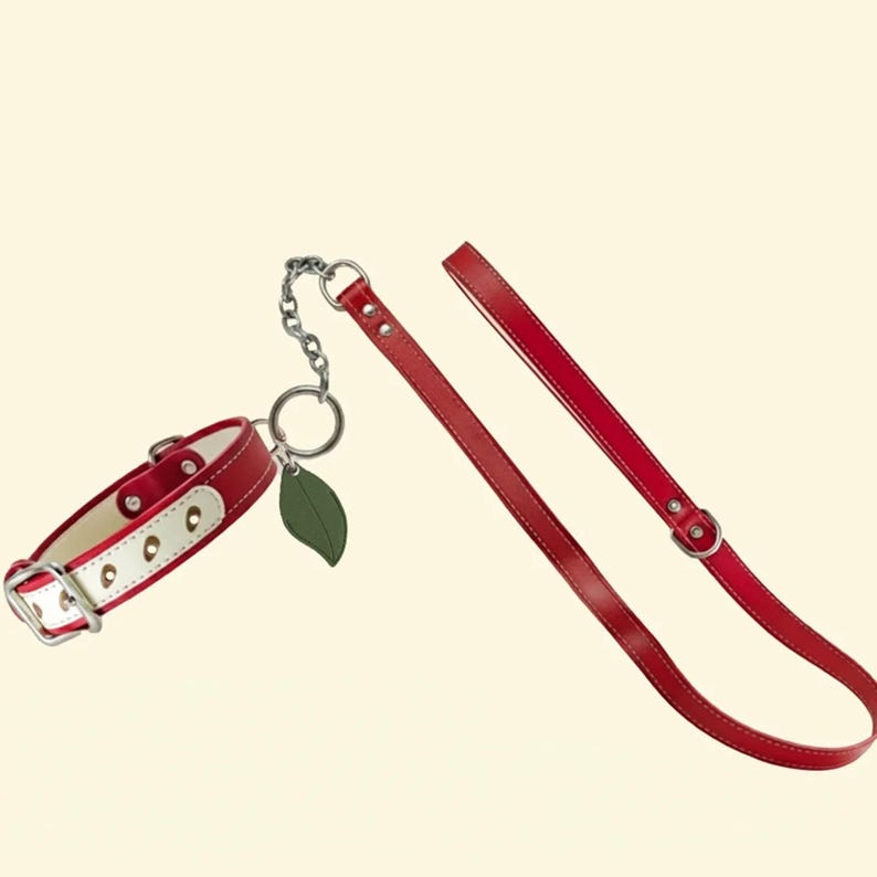 Apple Inspired Dog Collar, AirTag Compatible Leather Pet Collar With ...