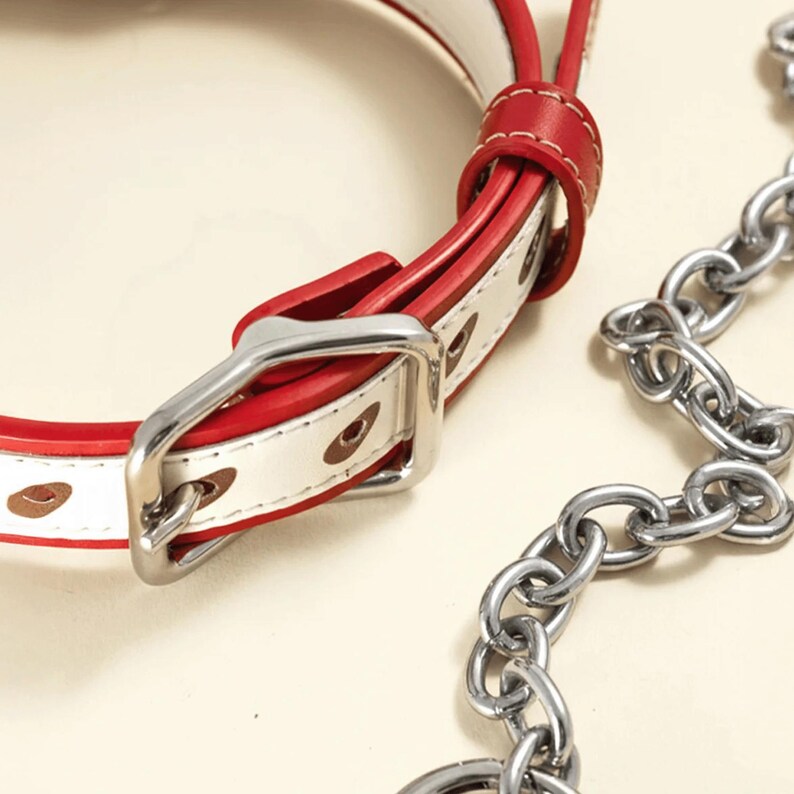 Apple Inspired Dog Collar, AirTag Compatible Leather Pet Collar With ...