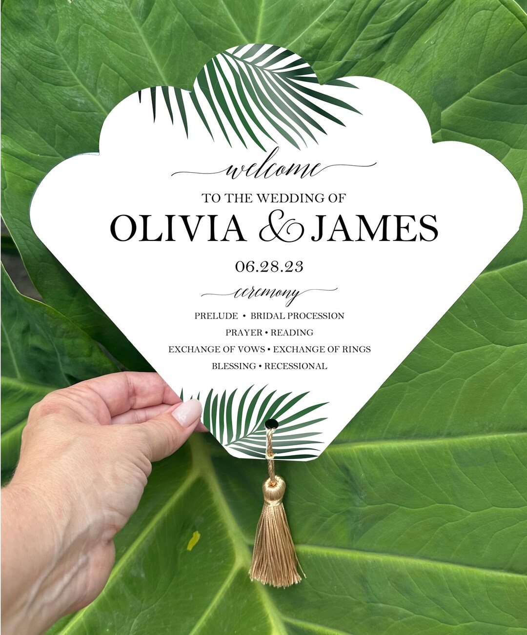 Wedding Program Fans With Tassel Scallop Sea Shell Ivory White Palm ...