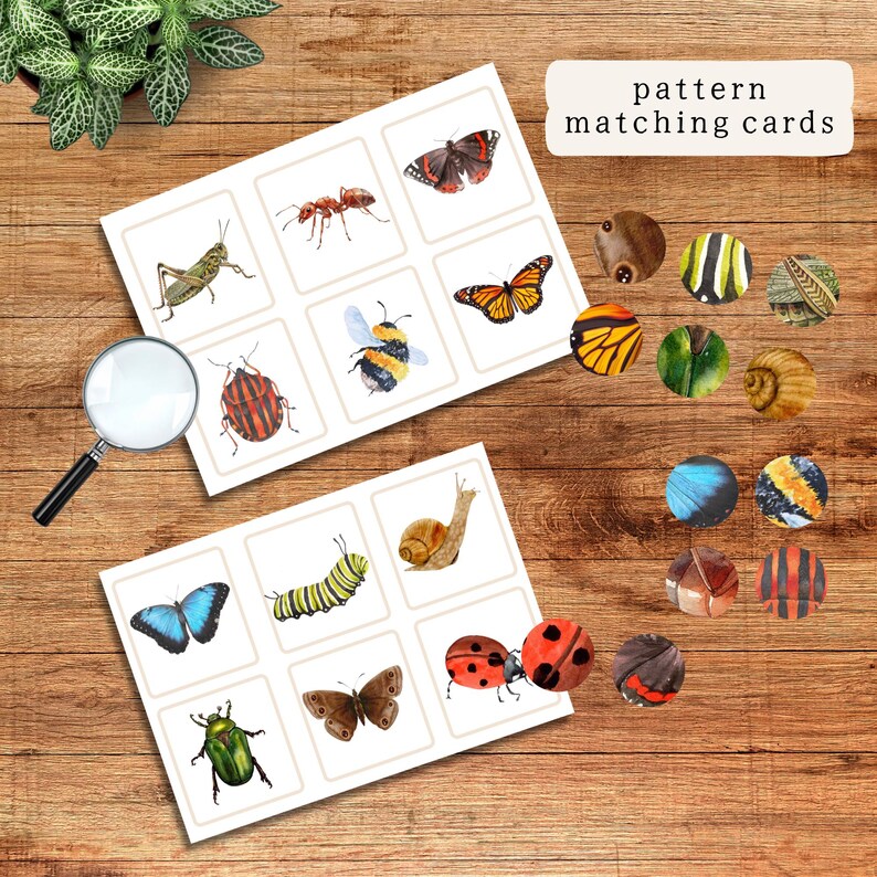 Bugs Unit Study Printable Garden Homeschool Activity, Ladybug Life ...
