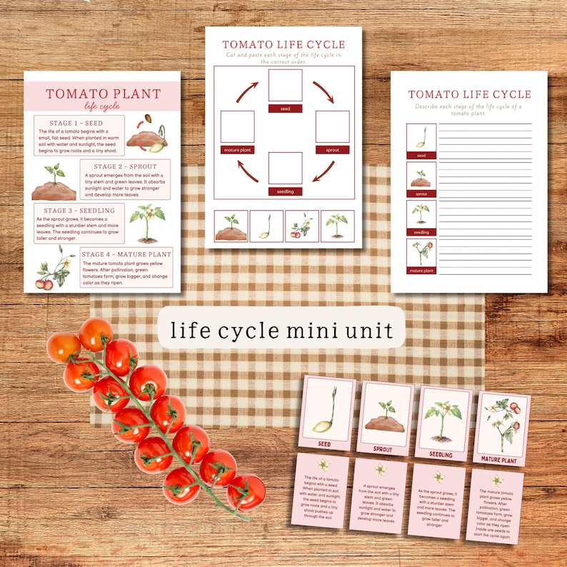 Farm Unit Study Printable Busy Book | Farm Animals Activities for ...