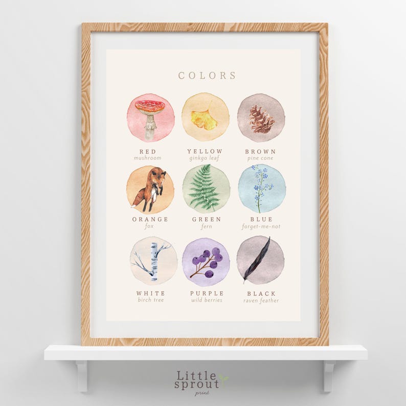 Educational Poster – Colors – Nature Inspired: Rustic Woodland ...