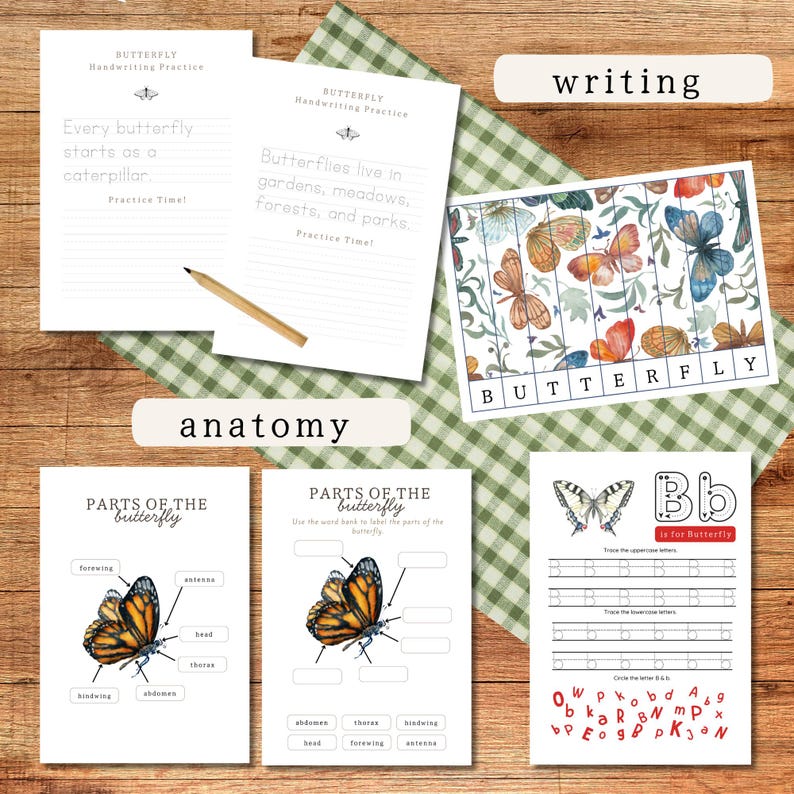 Butterfly Unit Study Bundle | Butterfly Pattern Matching | Homeschool ...
