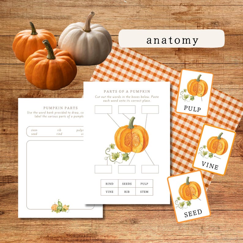 Pumpkin Unit Study for Preschool | Printable Life Cycle, Anatomy ...