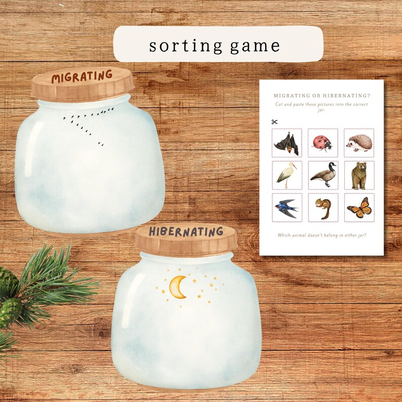 Winter Sleep Unit Study | Printable Winter Animals Homeschool Nature ...