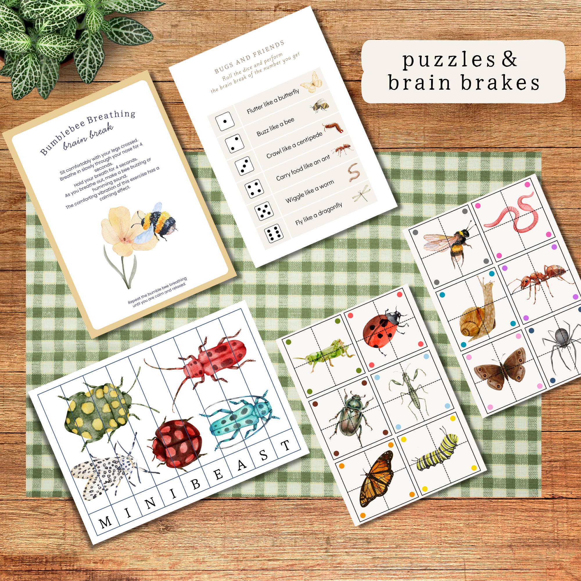 Bugs Unit Study Printable Garden Homeschool Activity, Ladybug Life ...