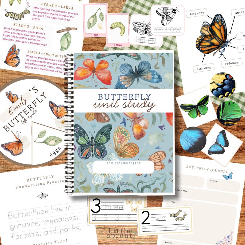 Butterfly Unit Study Bundle | Butterfly Pattern Matching | Homeschool ...