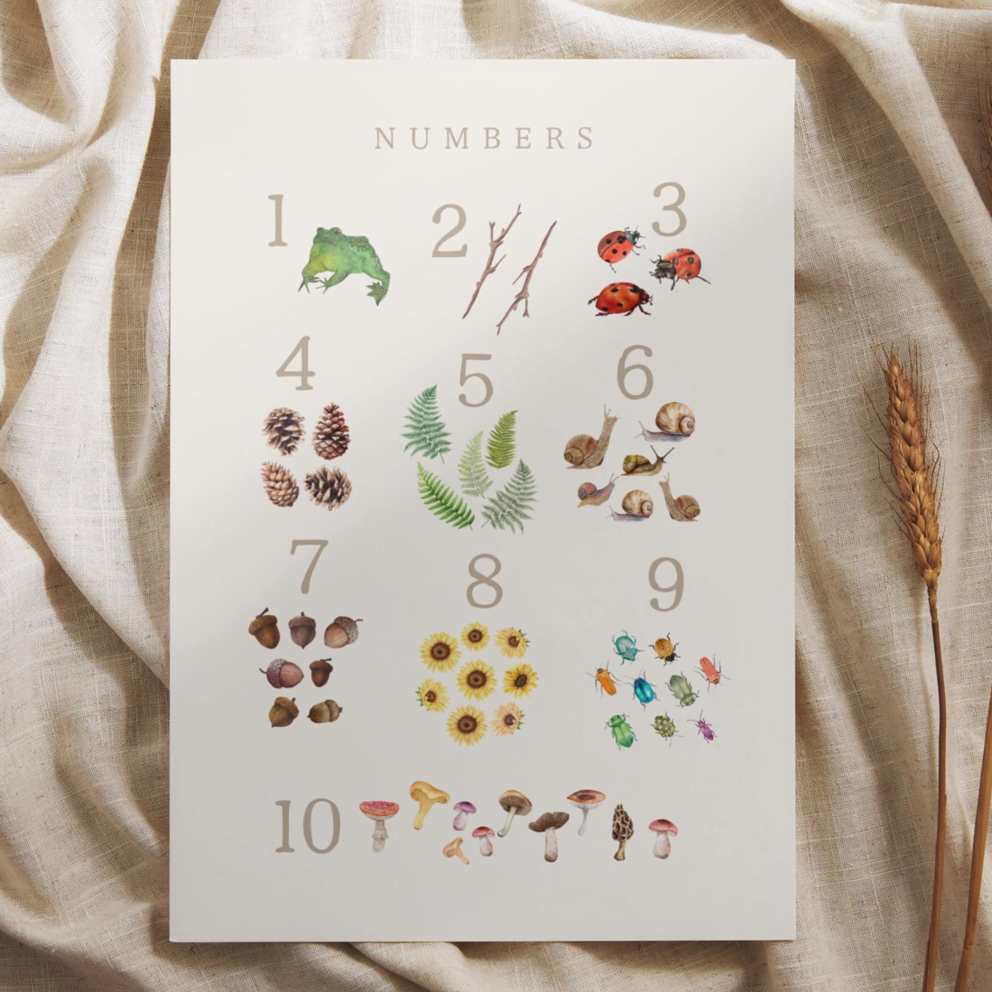 Educational Poster - Counting - Nature Inspired: Rustic Woodland ...