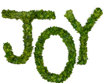 Joy Wreath Letters - Etsy
