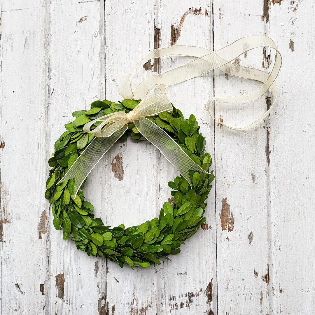 Preserved Boxwood Wreath With Ribbon - 8 Inch - Etsy