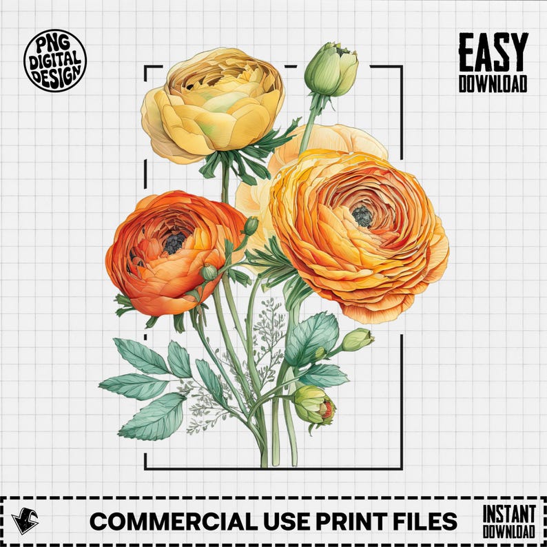 Vibrant Ranunculus Flower Bouquet Digital Clipart | Orange Yellow ...