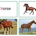 Animal Matching Cards With Pictures and Names: Autism Learning Resource ...