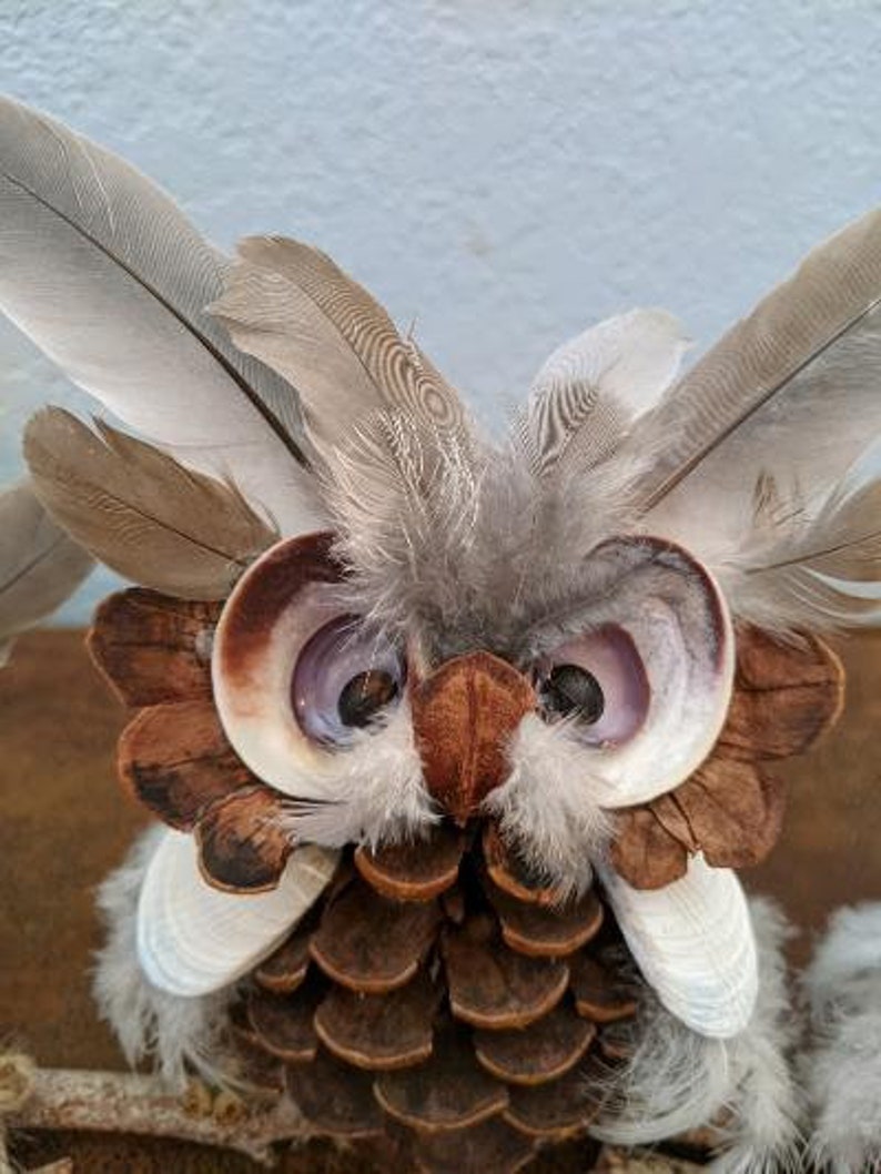 Diy Owl Craft Kit Cinnamon Pinecone Shells Feathers Jute Seeds - Etsy