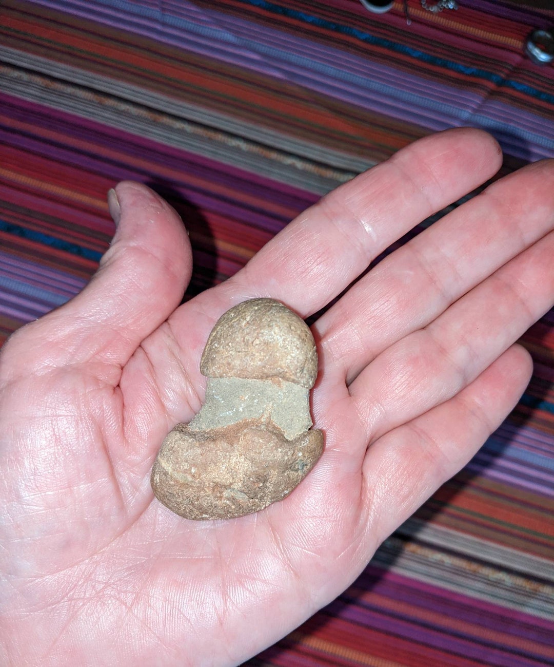 Natural Found Rock Phallus Symbol Shape Unique Hatching Penis Palm ...