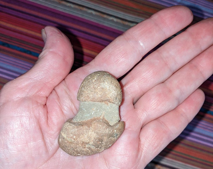 Natural Found Rock Phallus Symbol Shape Unique Hatching Penis Palm ...
