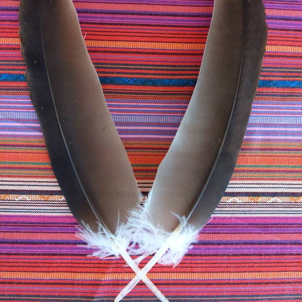 Large Feathers - Etsy