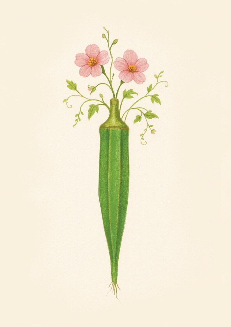 Okra - Botanical Illustration - Etsy