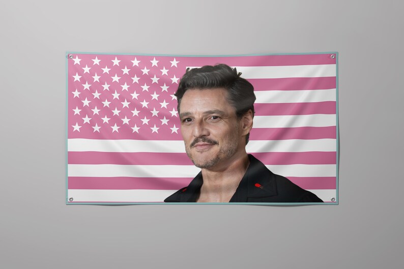 Pedro Pascal Pink American Flag Tapestry | Funny Wall Flag, Aesthetic ...