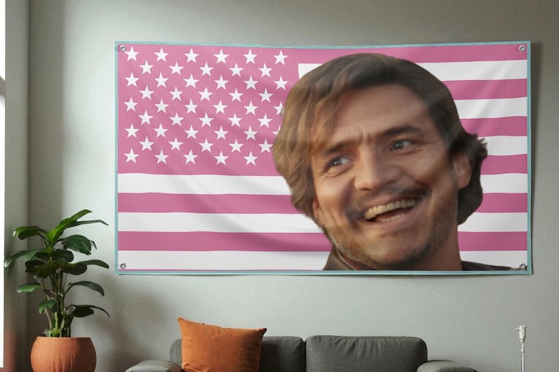 Pedro Pascal Meme Pink American Flag Tapestry | Funny Wall Flag ...