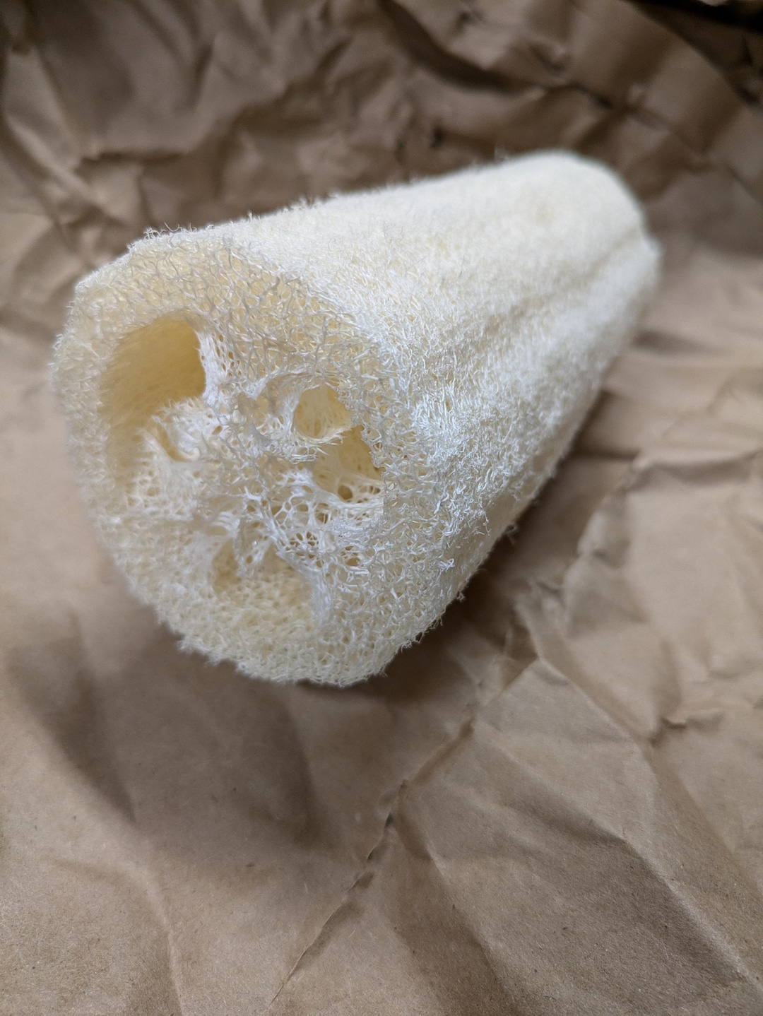 4 Inch Natural Organic Homegrown Luffa - Loofa Sponge Bath Shower - Etsy