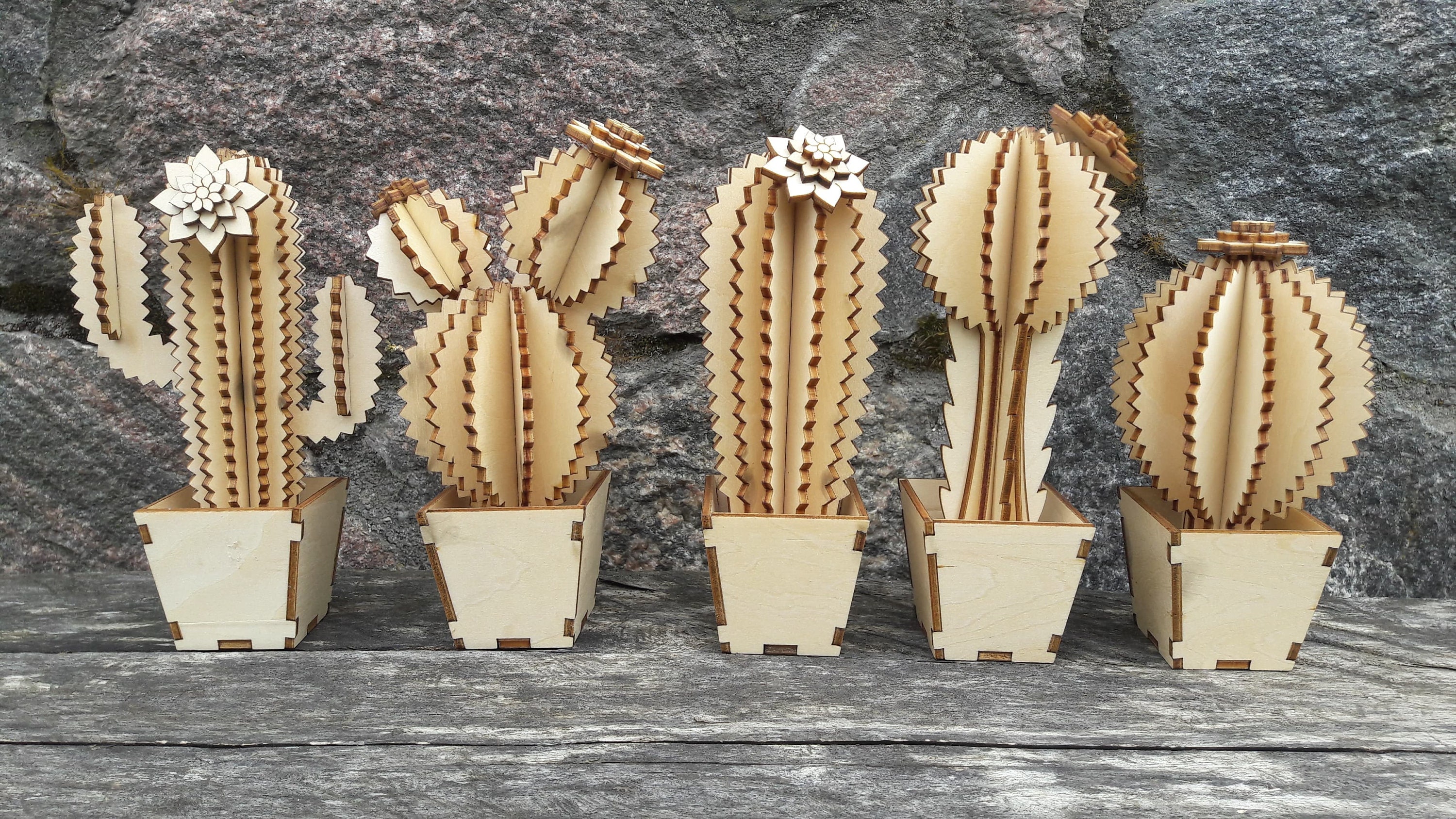 5 Pc Wooden Cactus for 3 Mm. Vector Files for Laser Cut Cnc - Etsy