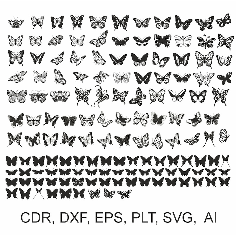 Butterfly Shape Svg - Etsy