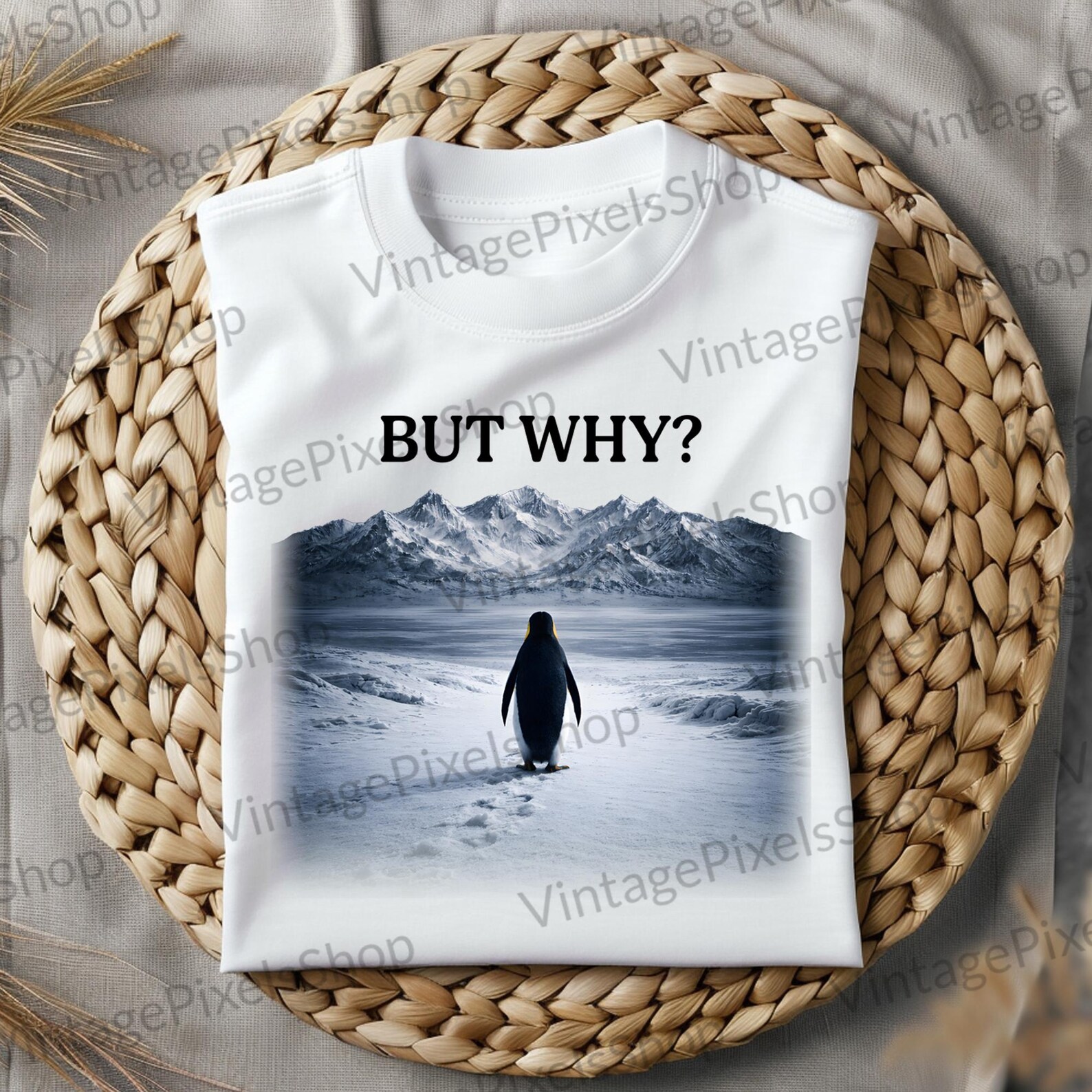 Vintage Nihilist Penguin PNG Design, Penguin but Why Meme, Nihilist ...