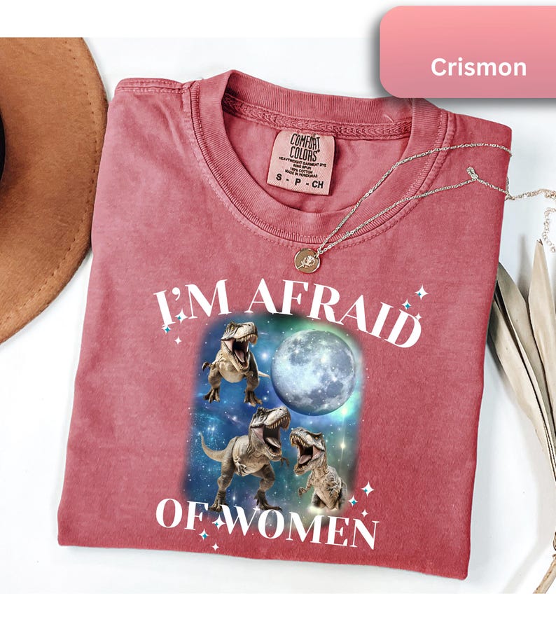 Dinosaur Meme Shirt, I'm Afraid of Women, Funny Graphic Tee - Etsy