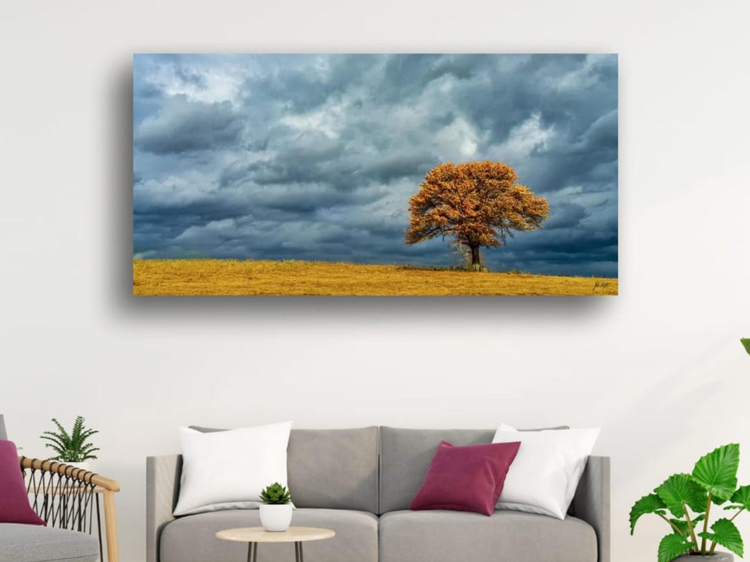 Tree in Storm Print, Solitary Blackjack Oak Photo - Etsy