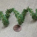 Canadian Pine Mini Garland DIY 12 Inch Wire Roping Miniature Christmas ...
