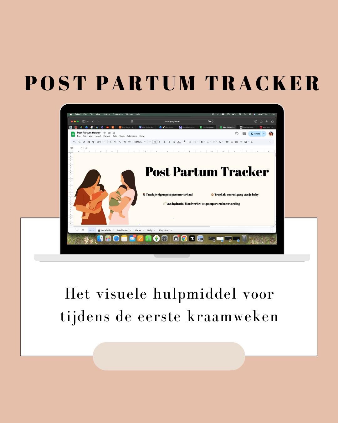 Baby & Mom Tracker Google Sheets Template | Postpartum Recovery ...