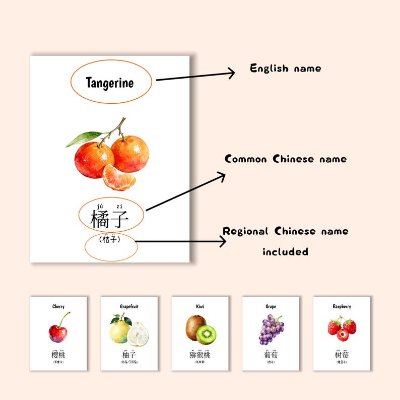 Fruit Flashcards Bilingual Mandarin Chinese, Kids Learning Cards ...