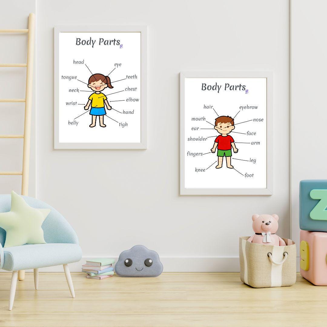 Body Parts Poster, Bilingual Chinese & English, Anatomy Art (digital ...