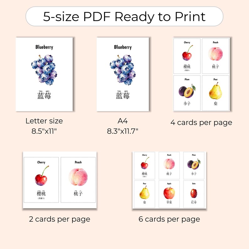 Fruit Flashcards Bilingual Mandarin Chinese, Kids Learning Cards ...