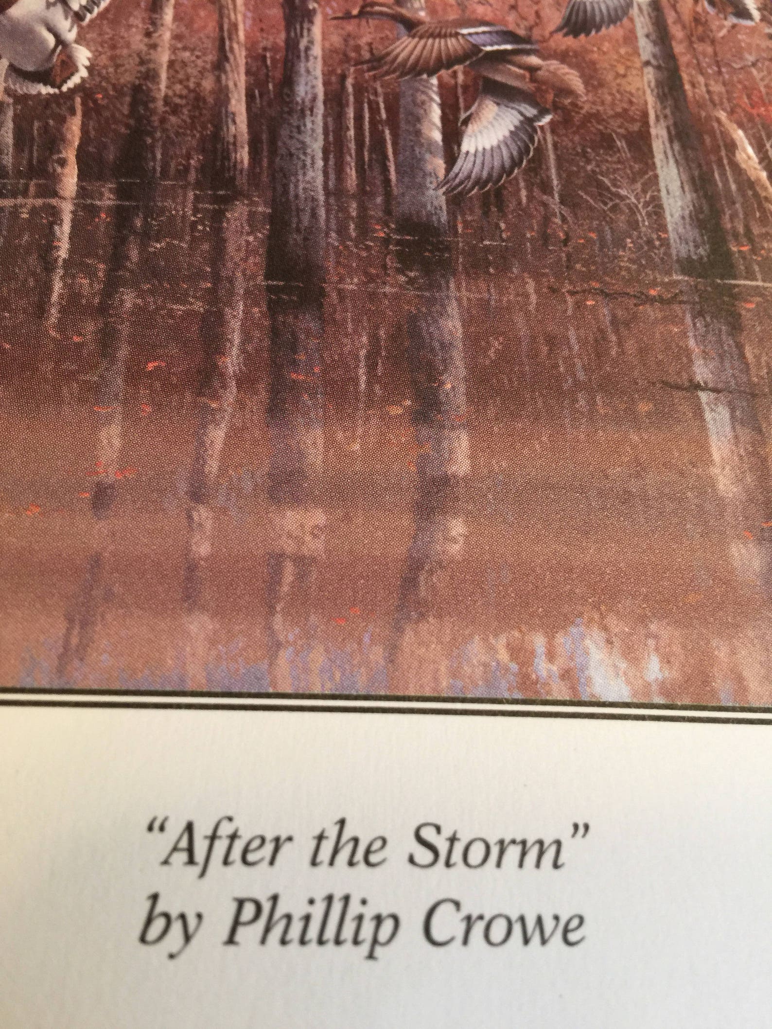 After the Storm Print by Phillip Crowe 8 1/2 X 11 1/2 | Etsy