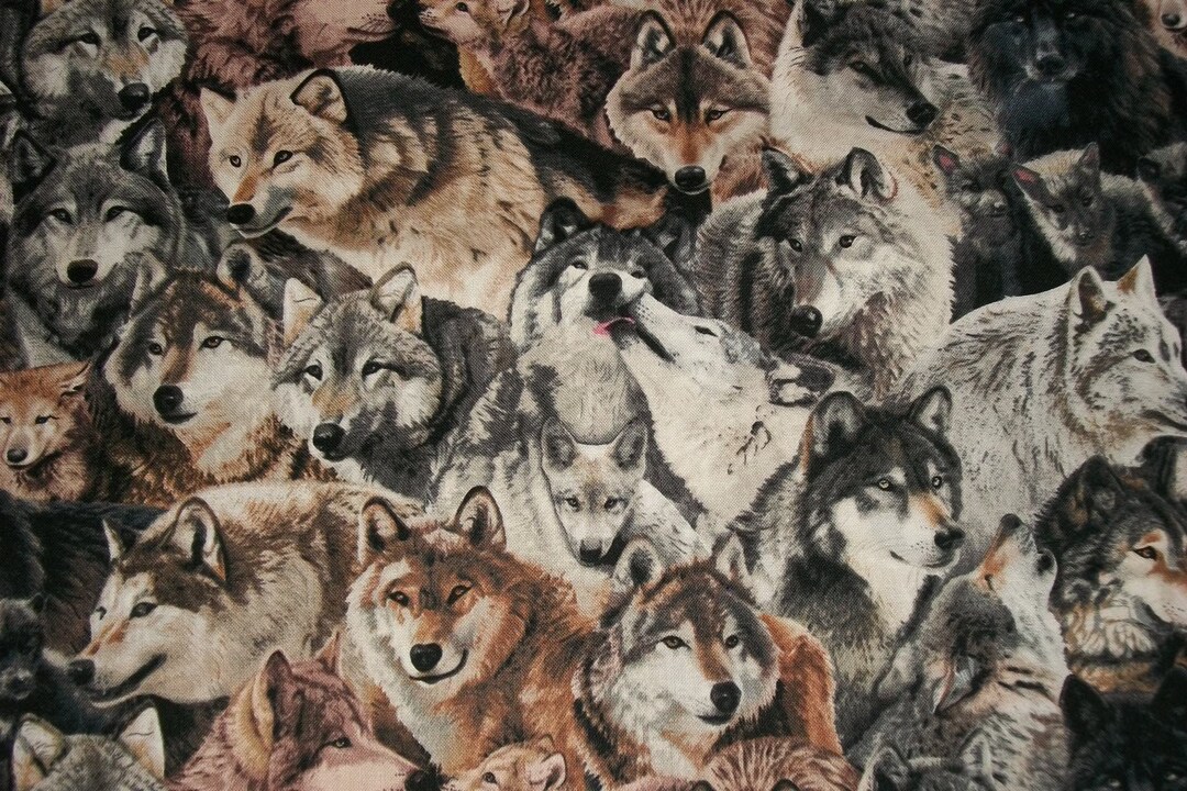 Wolf Fabric, Wolves Fabric, Canine Fabric, by the Yard, Elizabeth ...
