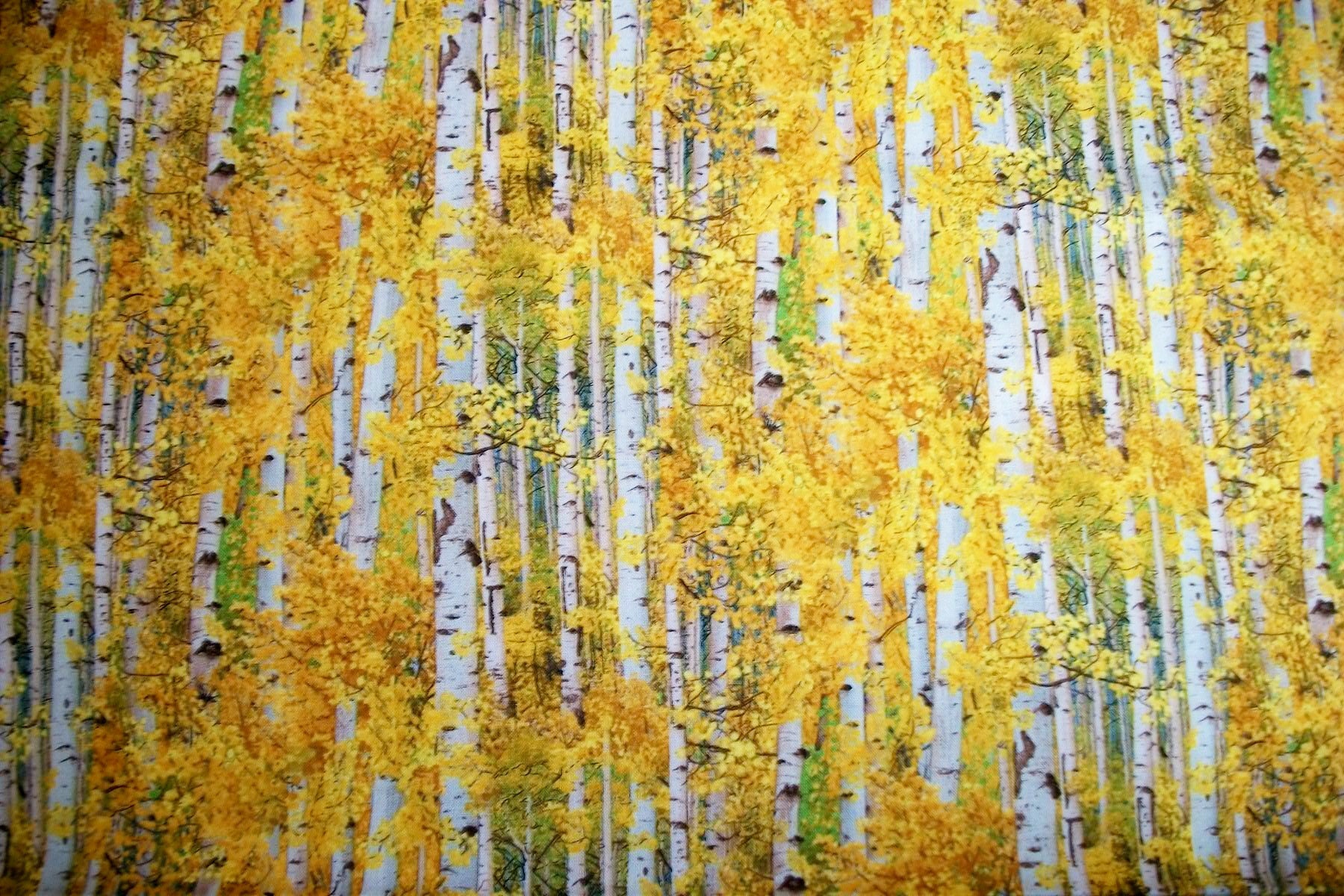 Tree Fabric Aspen Fall Tree Fabric by the Yard Elizabeth - Etsy Canada