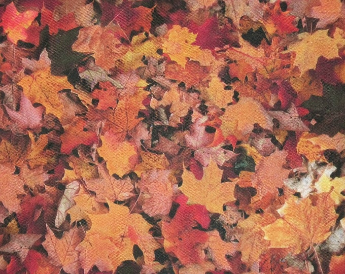 Fall Fabric, Fall Leaf Fabric, by the Yard, QT Fabrics, Autumn Leaves, Quilting Crafting Sewing ...