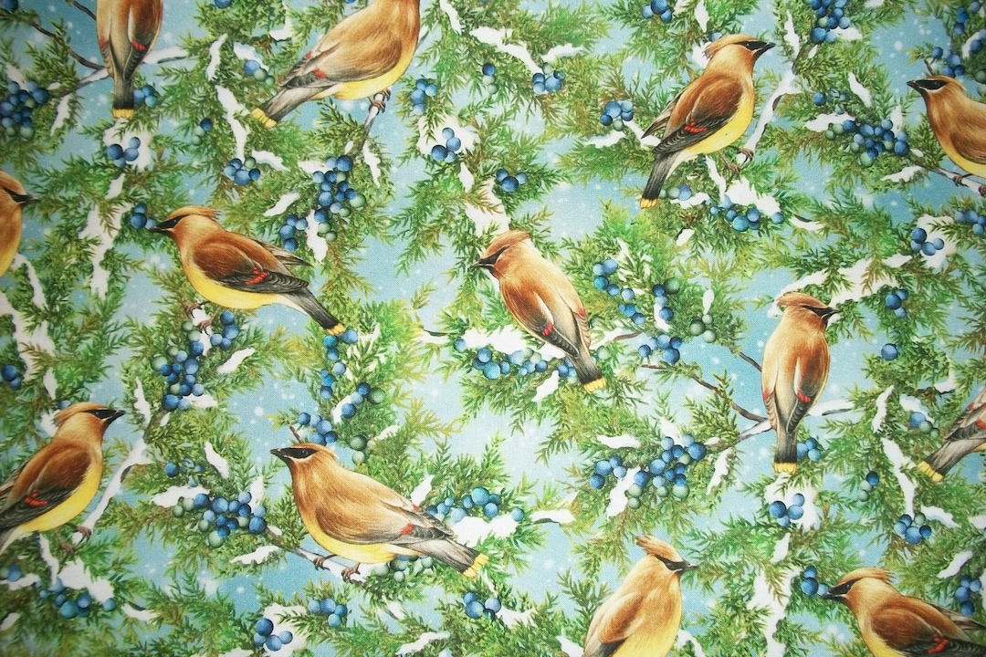 Bird Fabric, Cedar Waxwing Fabric, by the Yard, Winter Fabric, Robert ...