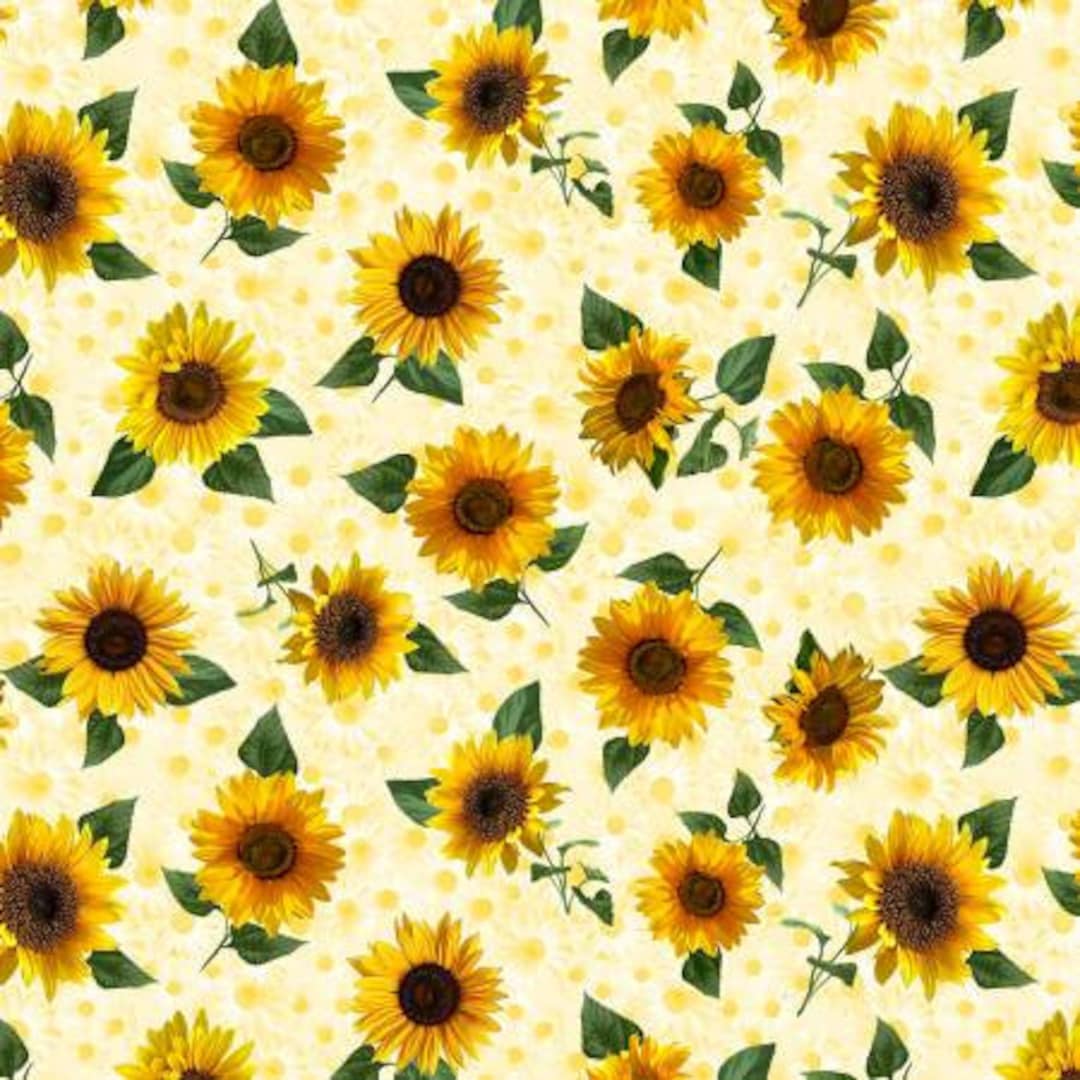 Sunflower Fabric, by the Yard, Country Fabric, Timeless Treasures ...