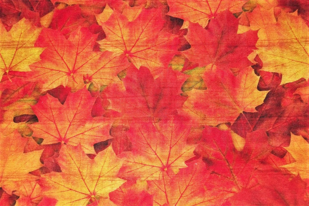 Fall Fabric, Fall Leaf Fabric, by the Yard, Benartex Fabrics, Autumn ...