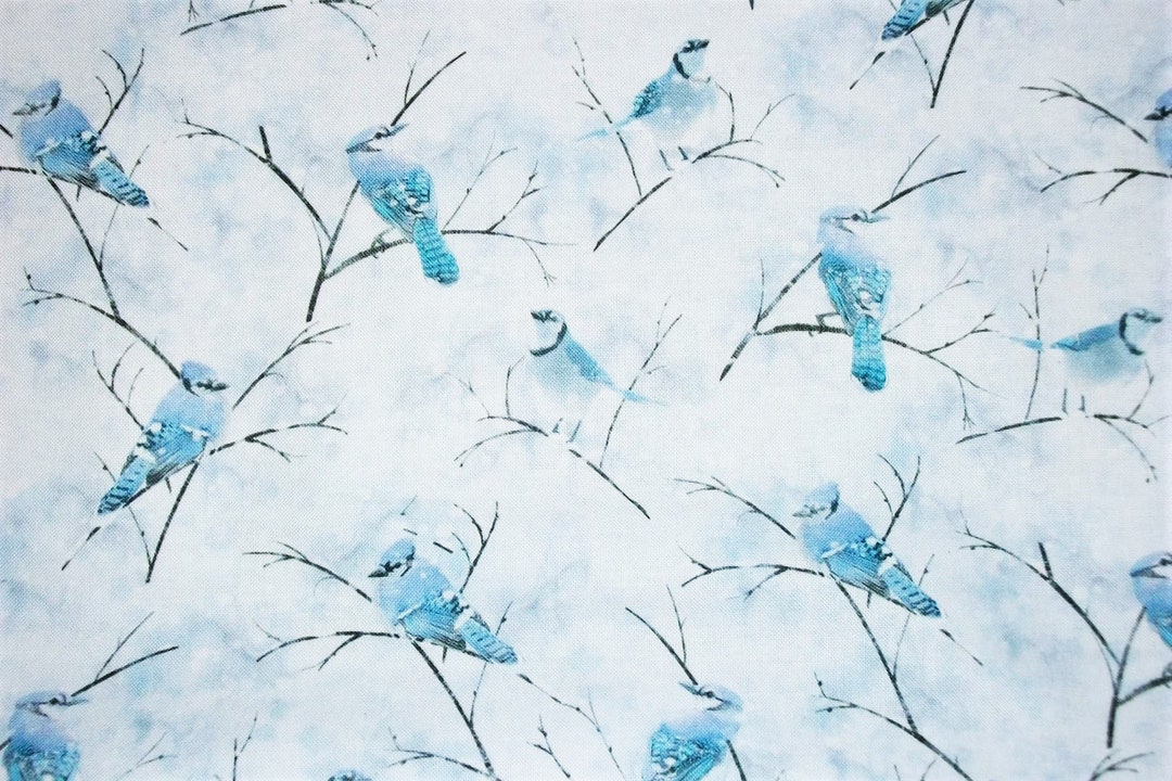 Bird Fabric, Blue Jay Fabric, by the Yard, Winter Fabric, Timeless ...