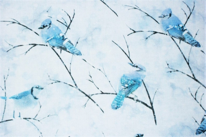 Bird Fabric, Blue Jay Fabric, by the Yard, Winter Fabric, Timeless ...