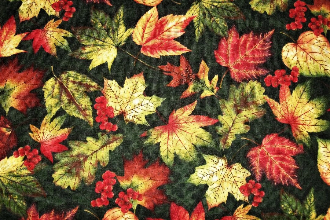 Fall Fabric, Fall Leaf Fabric, by the Yard, Studio E Fabrics, Autumn ...